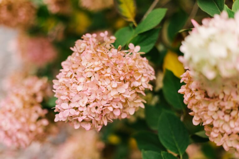 Fall Wedding at David's Country Inn in Hackettstown, NJ